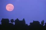 Easy ways to calm down crazy full moon behaviors | thehealthycaregiverblog